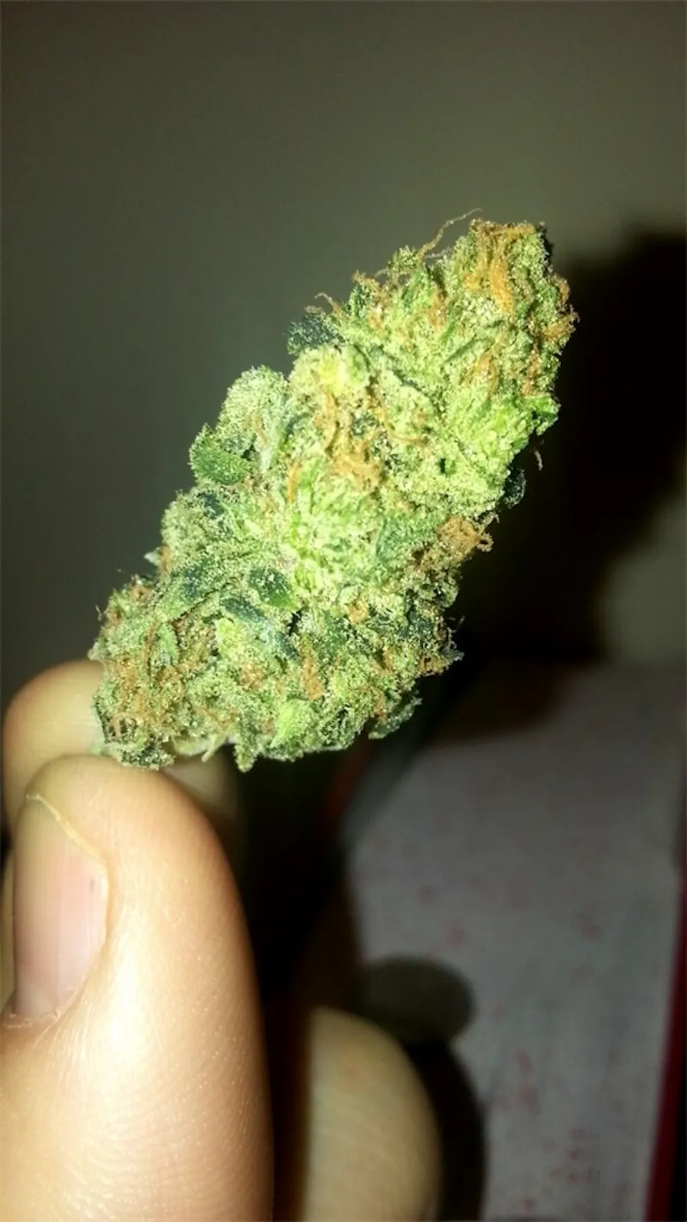 Photos of P-51 Weed Strain Buds | Leafly
