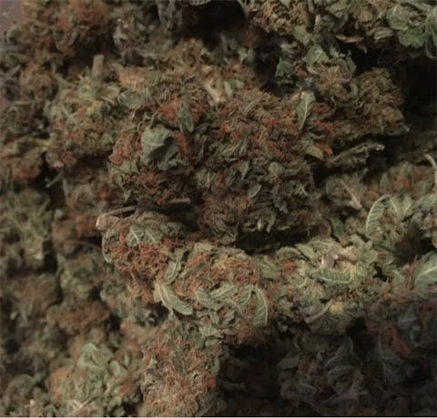 Pakistan Valley aka Pakistan Valley Kush Weed Strain Information | Leafly