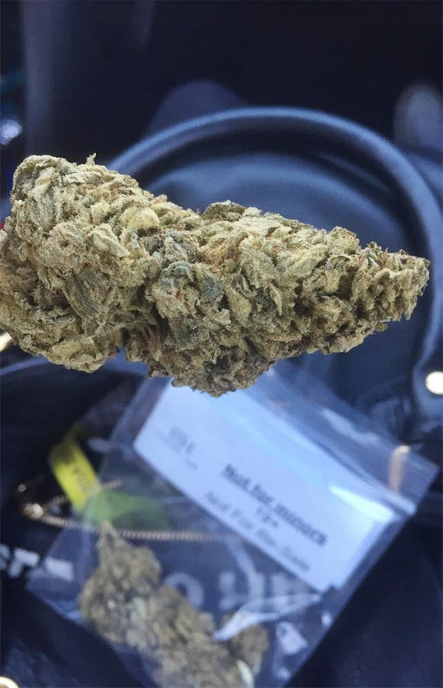 Photos of Panama Red Weed Strain Buds | Leafly