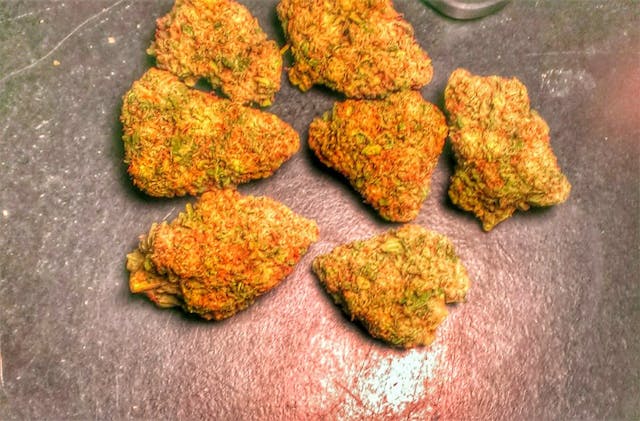 Photos of Panama Red Weed Strain Buds | Leafly