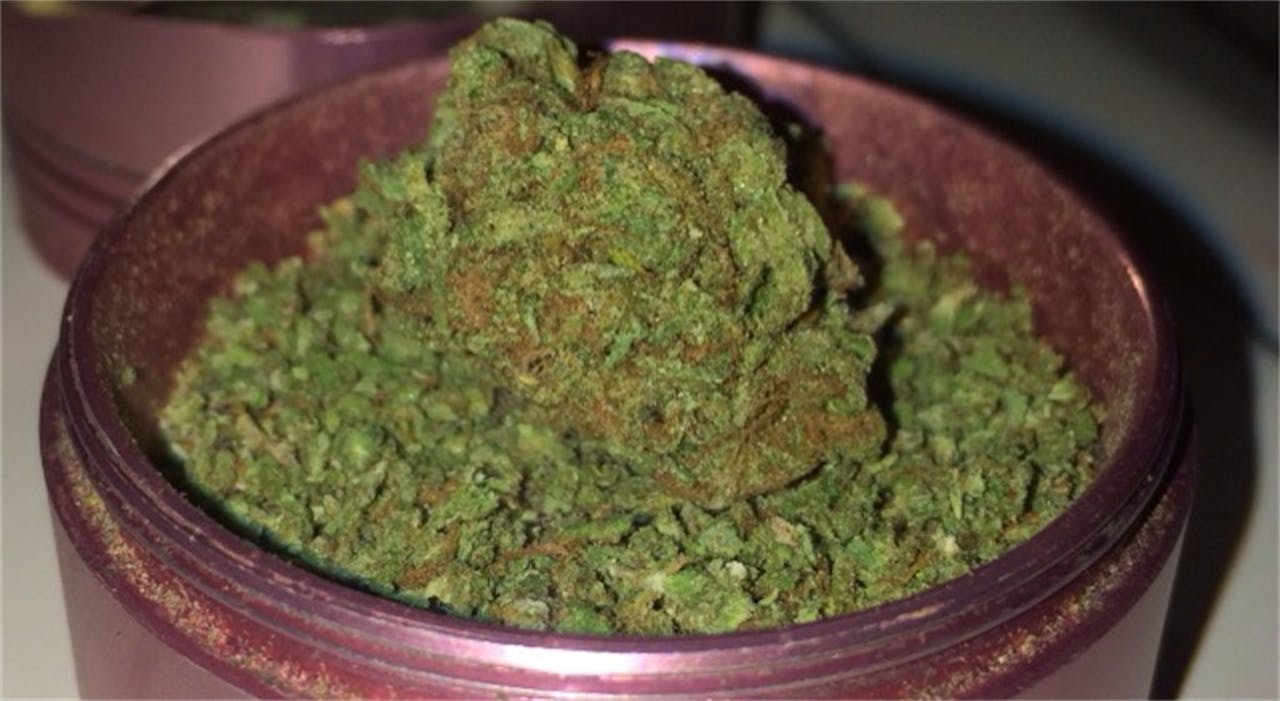 Photos of Panama Red Weed Strain Buds | Leafly