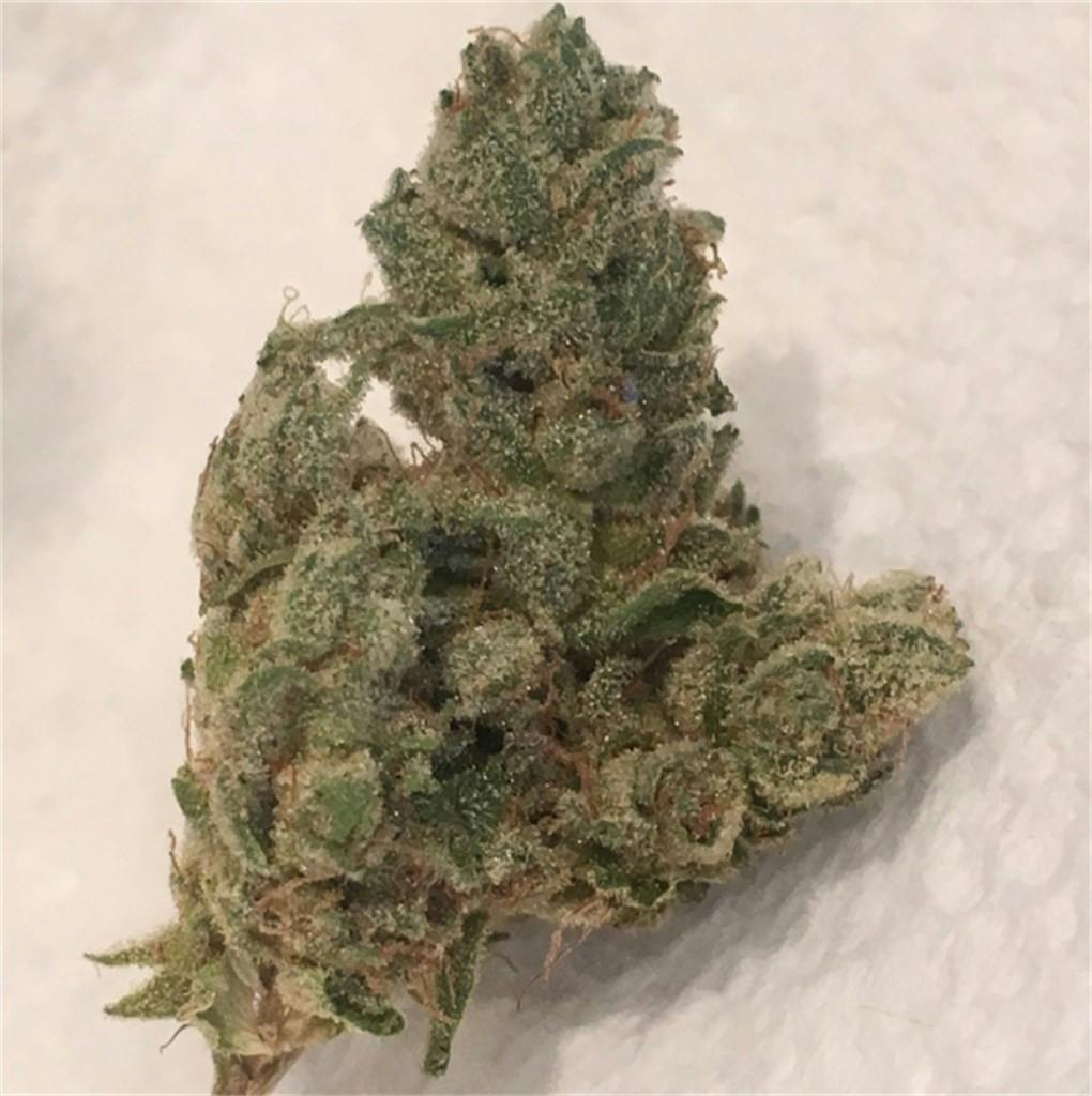 Pearl Scout Cookies aka PSC Weed Strain Information | Leafly