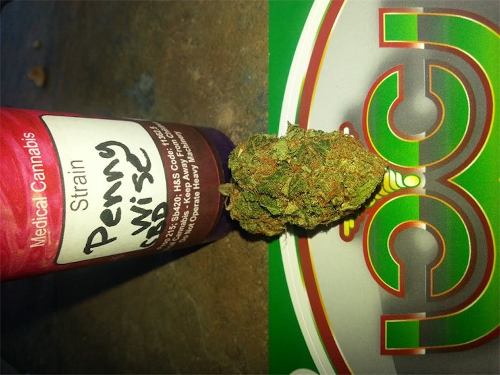 Photos of Pennywise Weed Strain Buds | Leafly