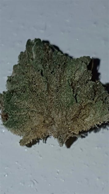 Photos of Phantom Cookies Weed Strain Buds | Leafly