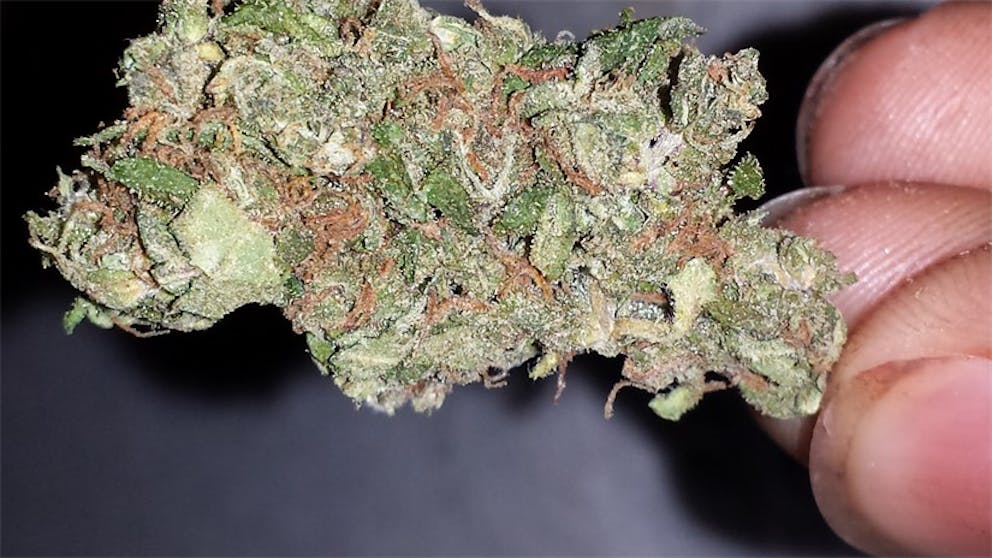 Photos of Phantom OG Weed Strain Buds | Leafly