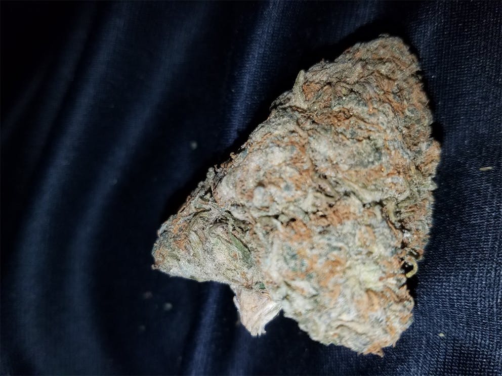 Photos of Phantom OG Weed Strain Buds | Leafly