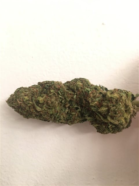 Pine Tar aka Pine Tar Kush, Pine Tar OG Weed Strain Information | Leafly