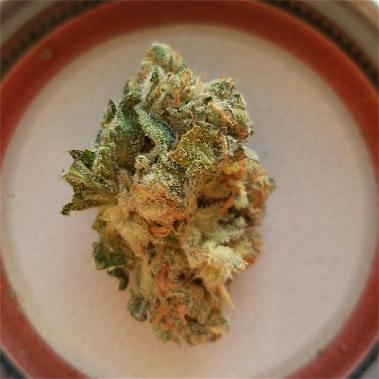 Photos of Pineapple Express Weed Strain Buds | Leafly