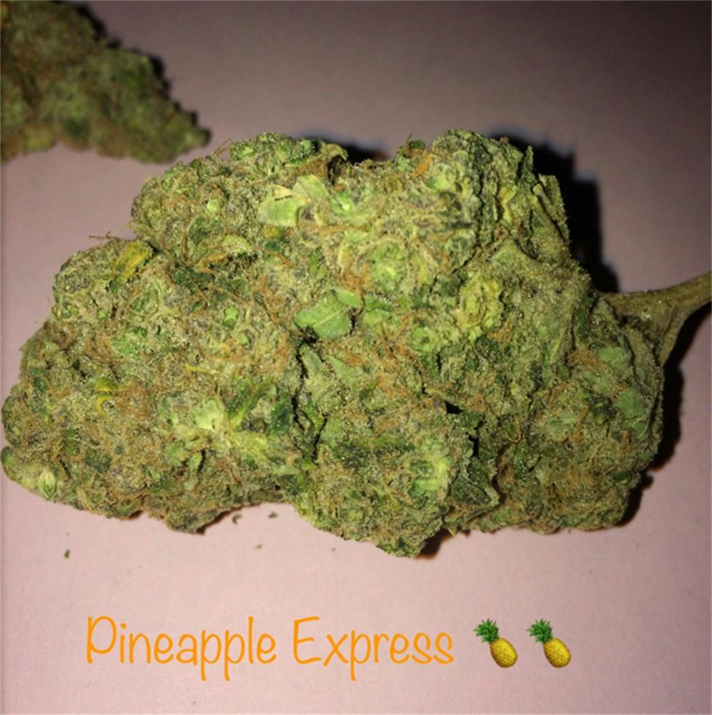 Photos of Pineapple Express Weed Strain Buds | Leafly
