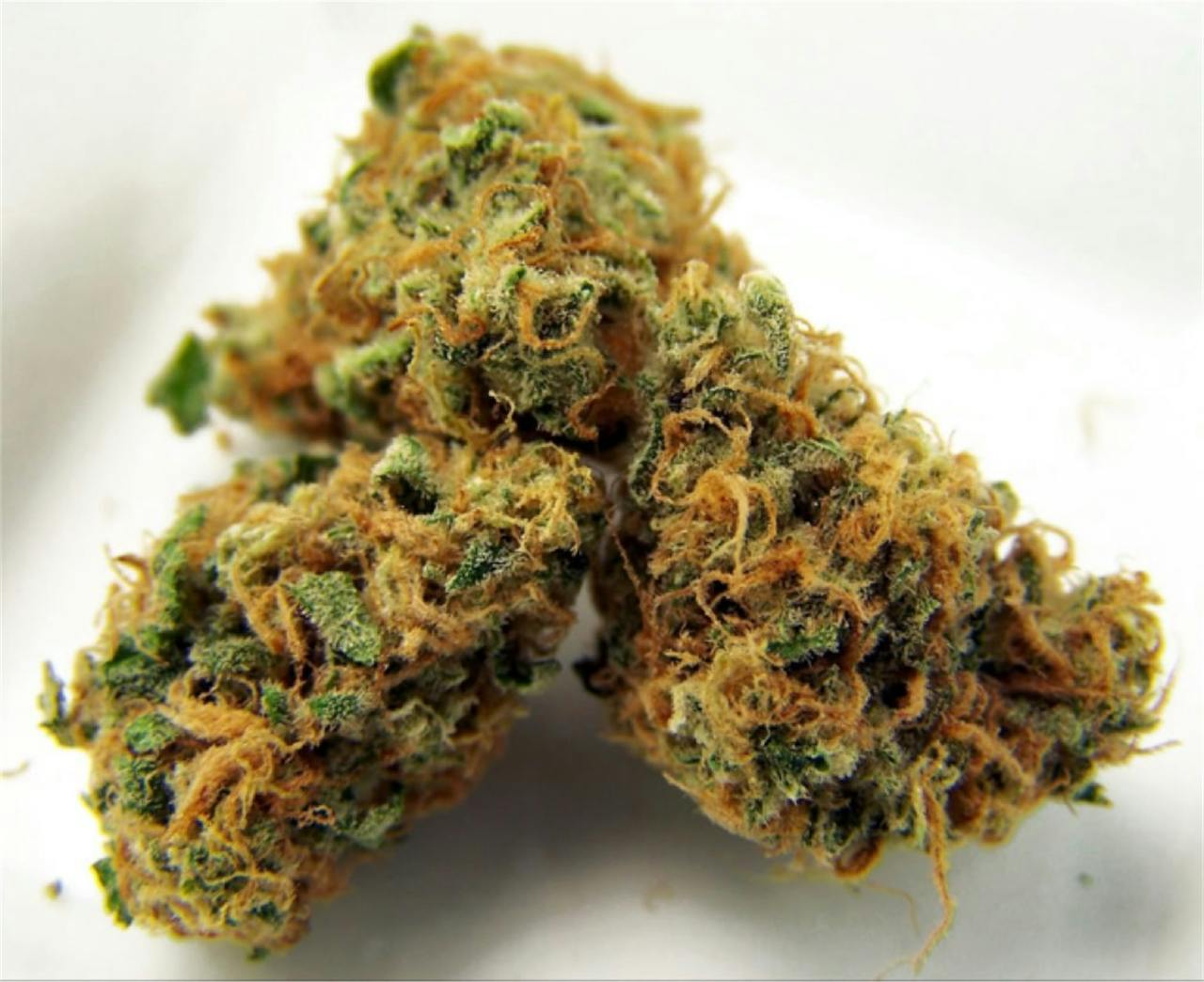 Photos of Pineapple Express Weed Strain Buds | Leafly