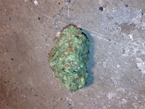 Pink Mango Weed Strain Information | Leafly