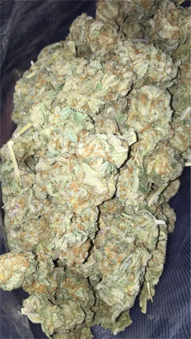 Photos of Platinum Bubba Kush Weed Strain Buds | Leafly