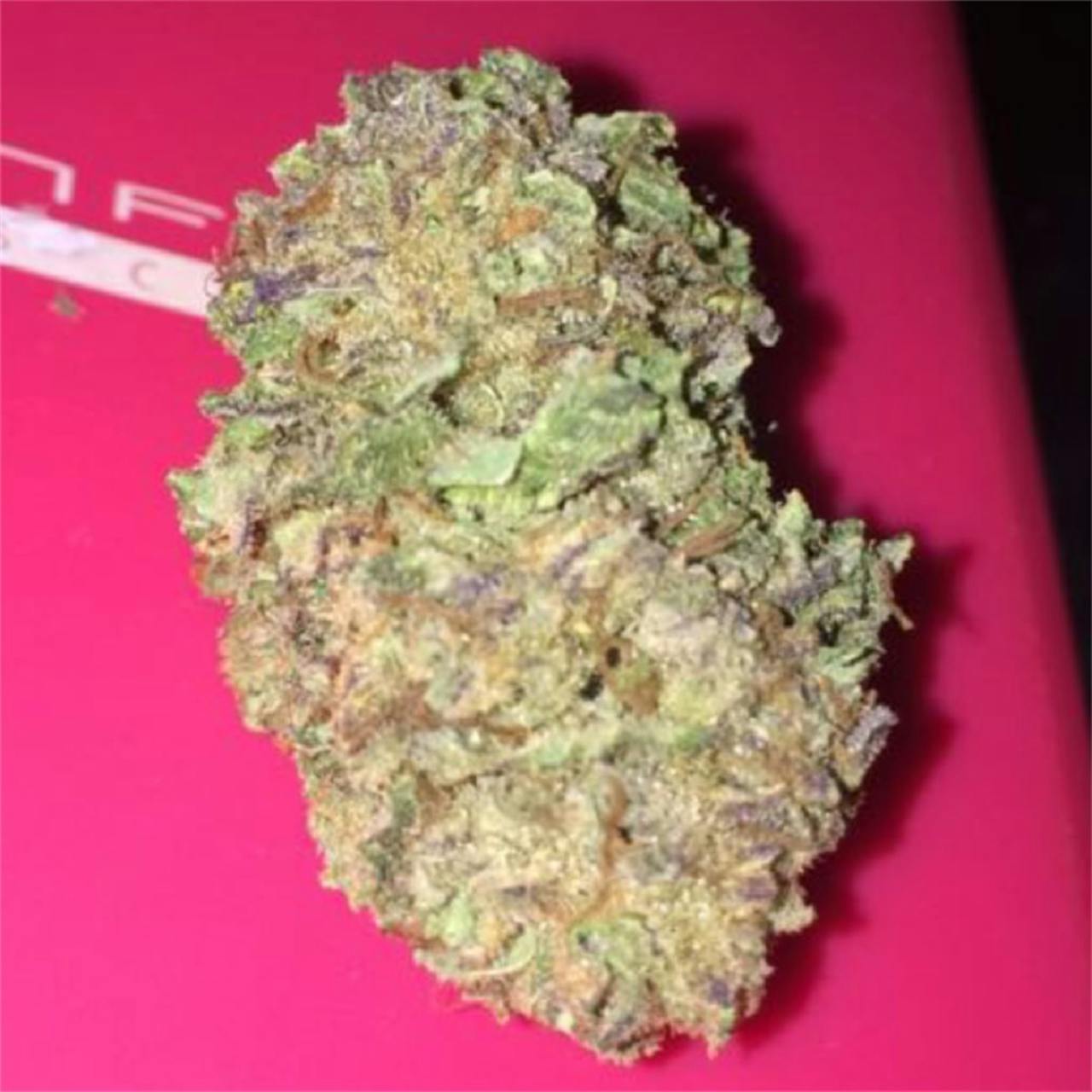 Photos of Platinum Cookies Weed Strain Buds | Leafly