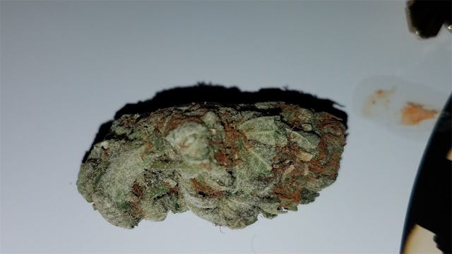 Photos of Platinum Cookies Weed Strain Buds | Leafly