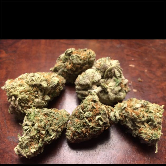 Photos of Platinum Wreck Weed Strain Buds | Leafly