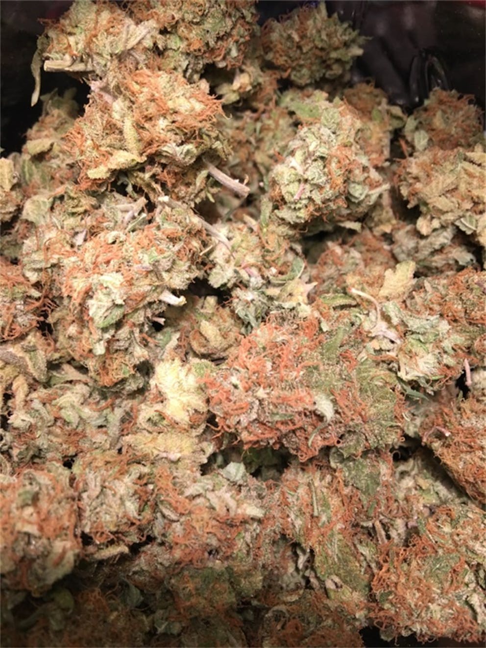 Photos of Platinum Trainwreck Weed Strain Buds | Leafly