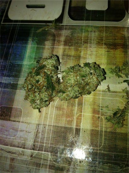 Pluto Kush aka Pluto Weed Strain Information | Leafly