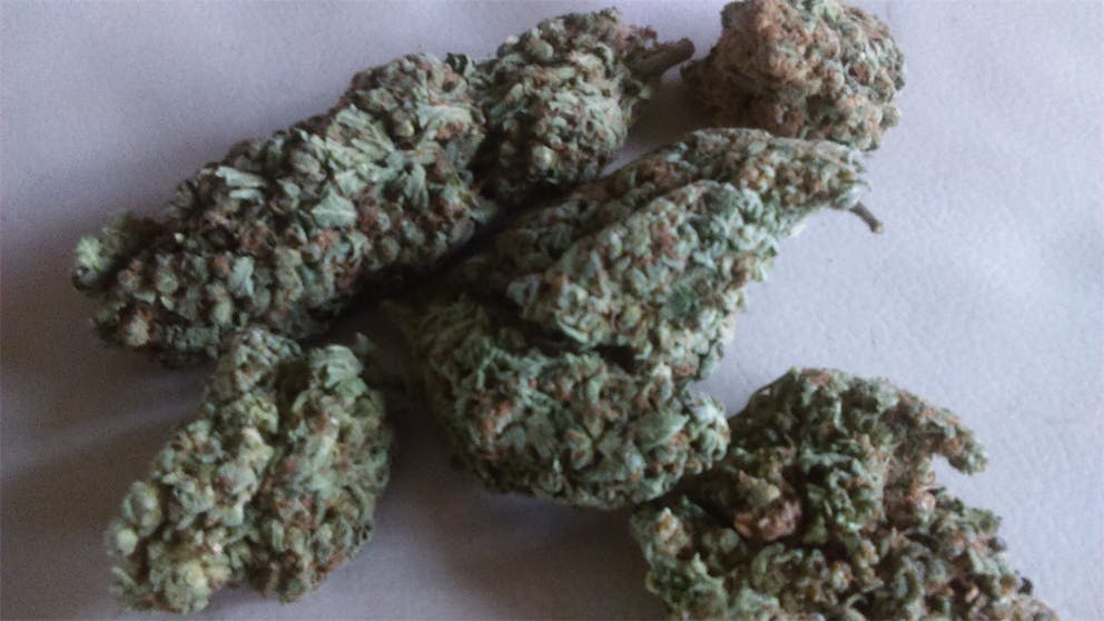 Photos of Pluto Kush Weed Strain Buds | Leafly