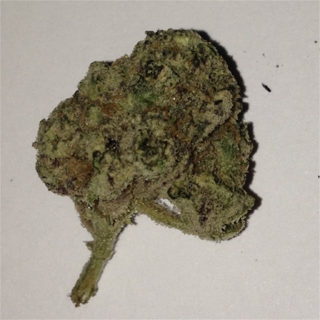 Photos of Pokie Weed Strain Buds | Leafly