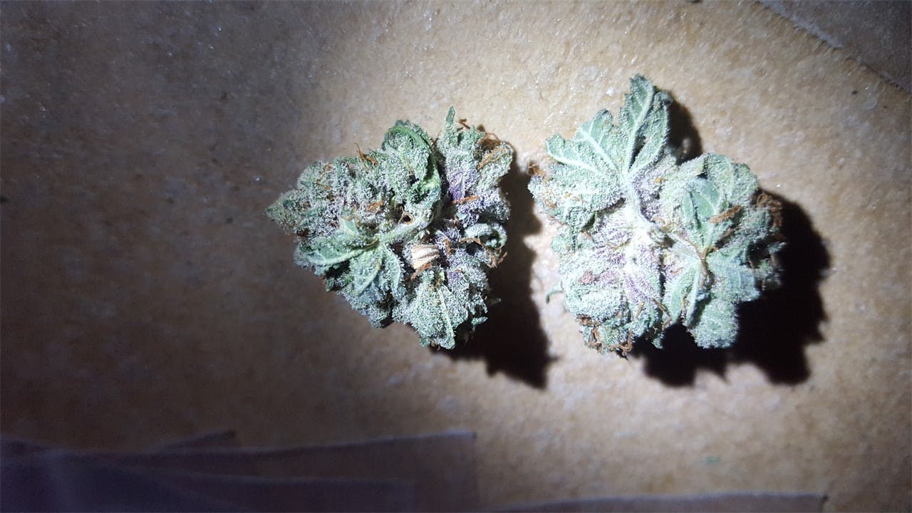 Popcorn Kush Weed Strain Information | Leafly