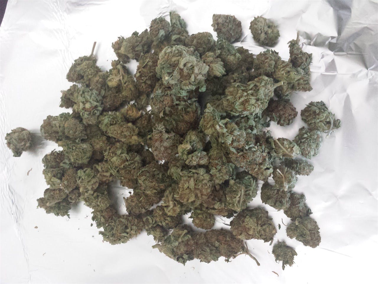 Photos of Popcorn Kush Weed Strain Buds | Leafly