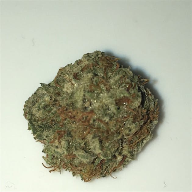 Photos of Power Plant Weed Strain Buds | Leafly