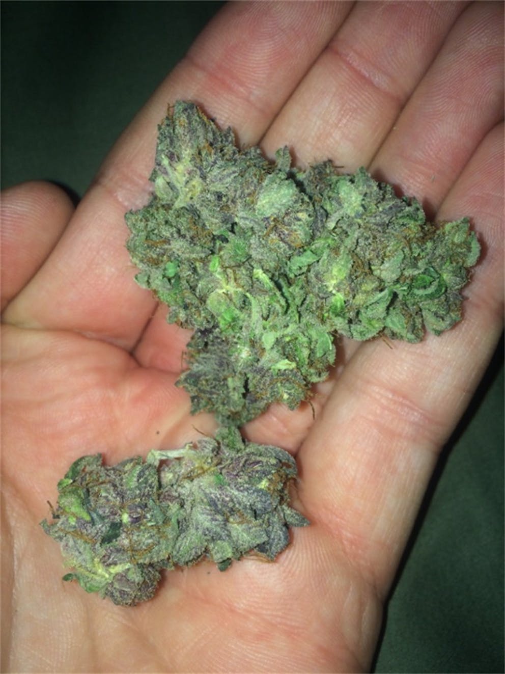 Photos of Pre-98 Bubba Kush Weed Strain Buds | Leafly