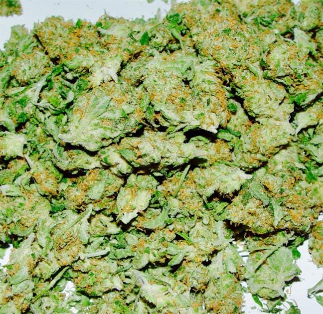 Photos of Pure Power Plant Weed Strain Buds | Leafly