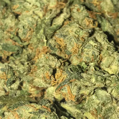 Pure Power Plant aka PPP Weed Strain Information | Leafly