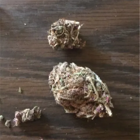 Purple Cheddar Weed Strain Information | Leafly
