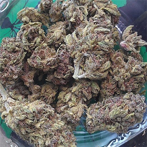 Purple Cheese aka Purple Cheese Auto Weed Strain Information | Leafly