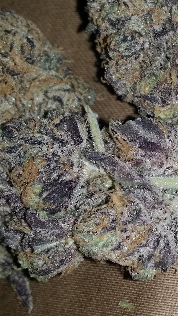Purple Chemdawg aka Purple Chem, Purple Chemdog, P Dawg Weed Strain ...