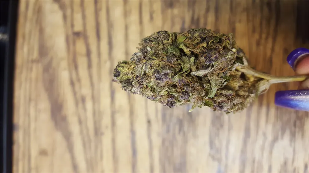 Photos of Purple Dragon Weed Strain Buds | Leafly