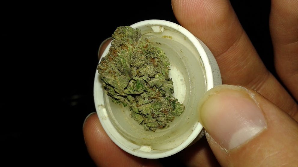 Photos of Purple Elephant Weed Strain Buds | Leafly