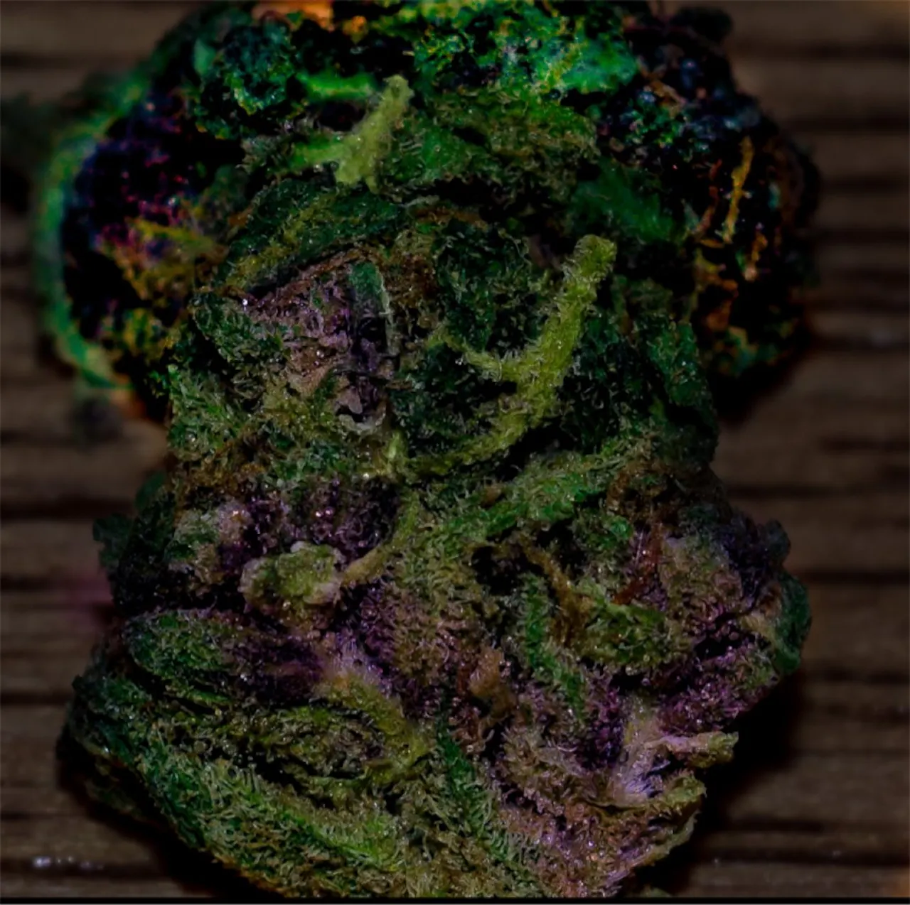 Photos of Purple Haze Weed Strain Buds | Leafly