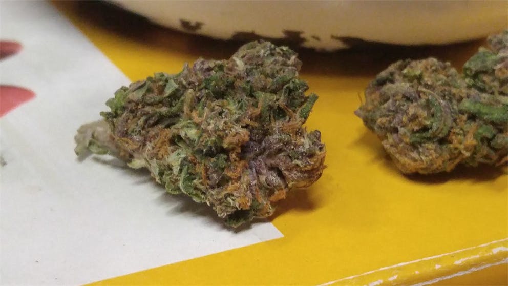 Photos of Purple Hindu Kush Weed Strain Buds | Leafly