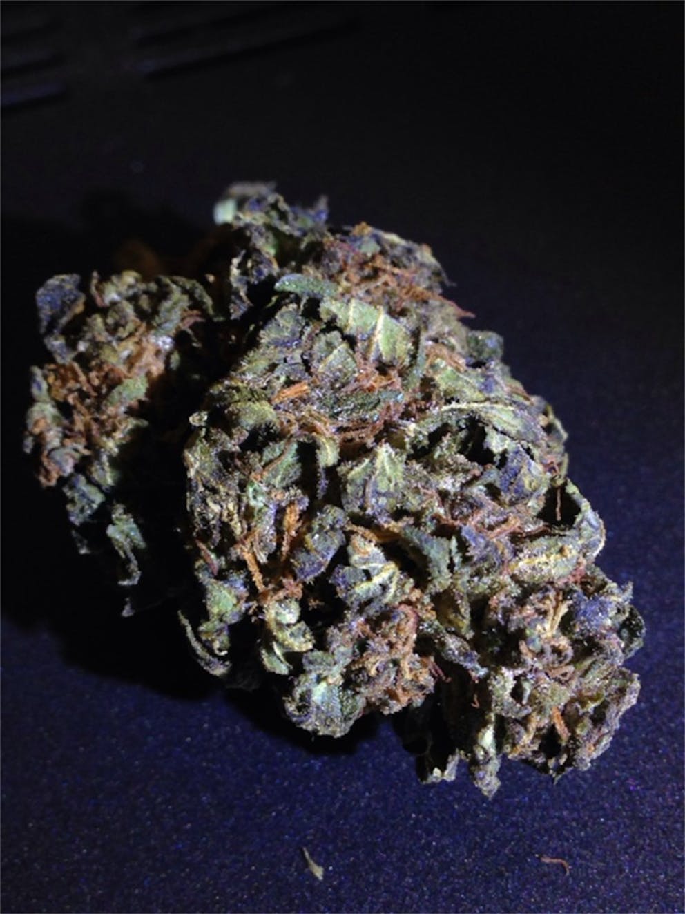 Photos of Purple Hindu Kush Weed Strain Buds | Leafly