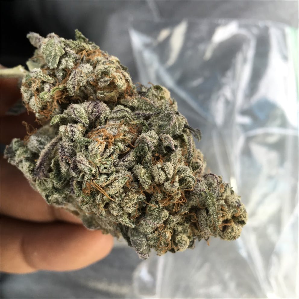 Photos of Purple Monkey Balls Weed Strain Buds | Leafly