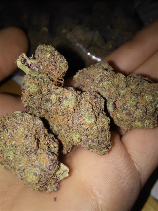 Photos of Purple Monkey Balls Weed Strain Buds | Leafly