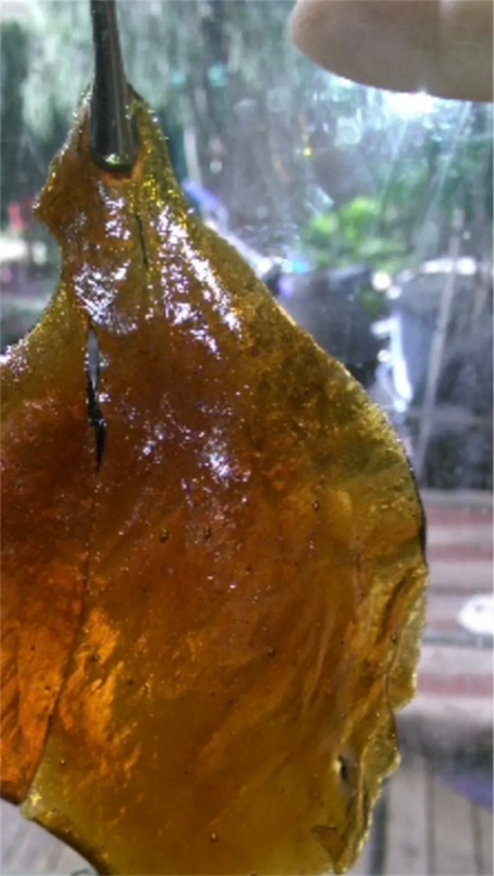 Photos of Purple OG Kush Weed Strain Buds | Leafly