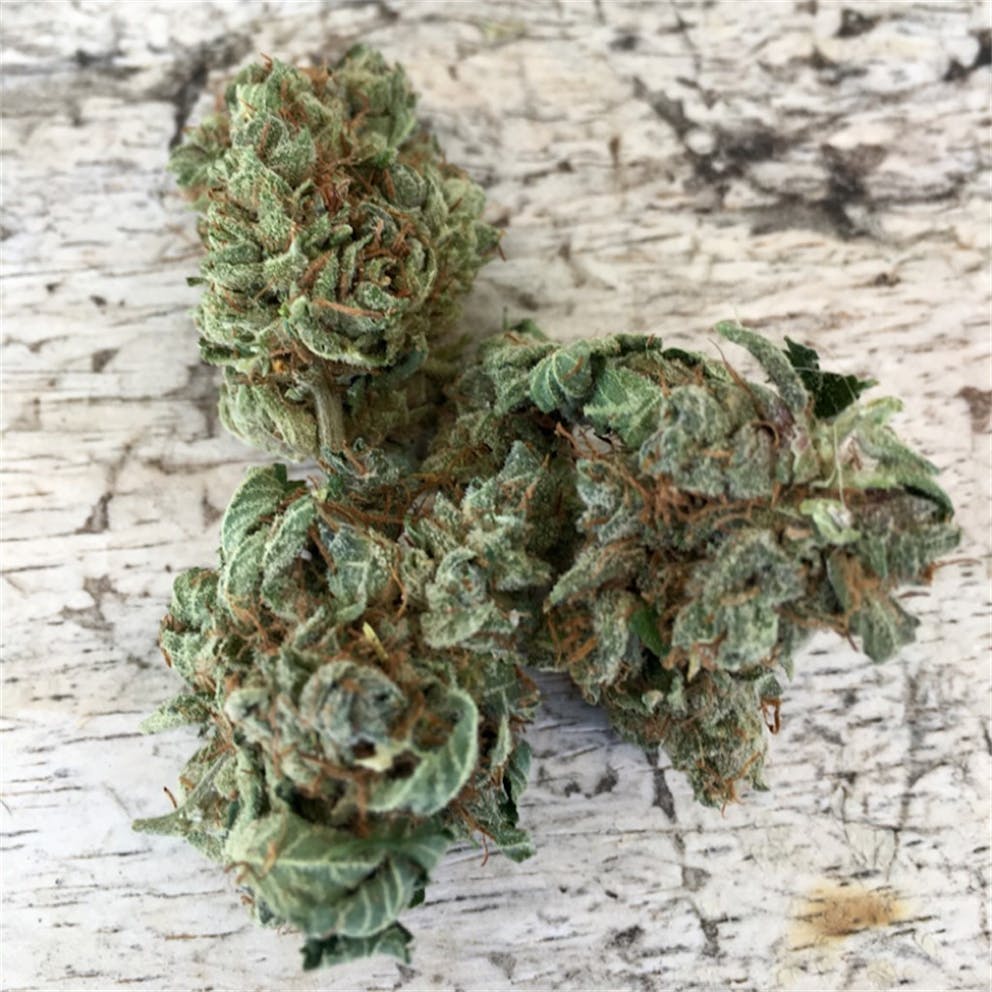 Photos Of Purple Passion Weed Strain Buds Leafly