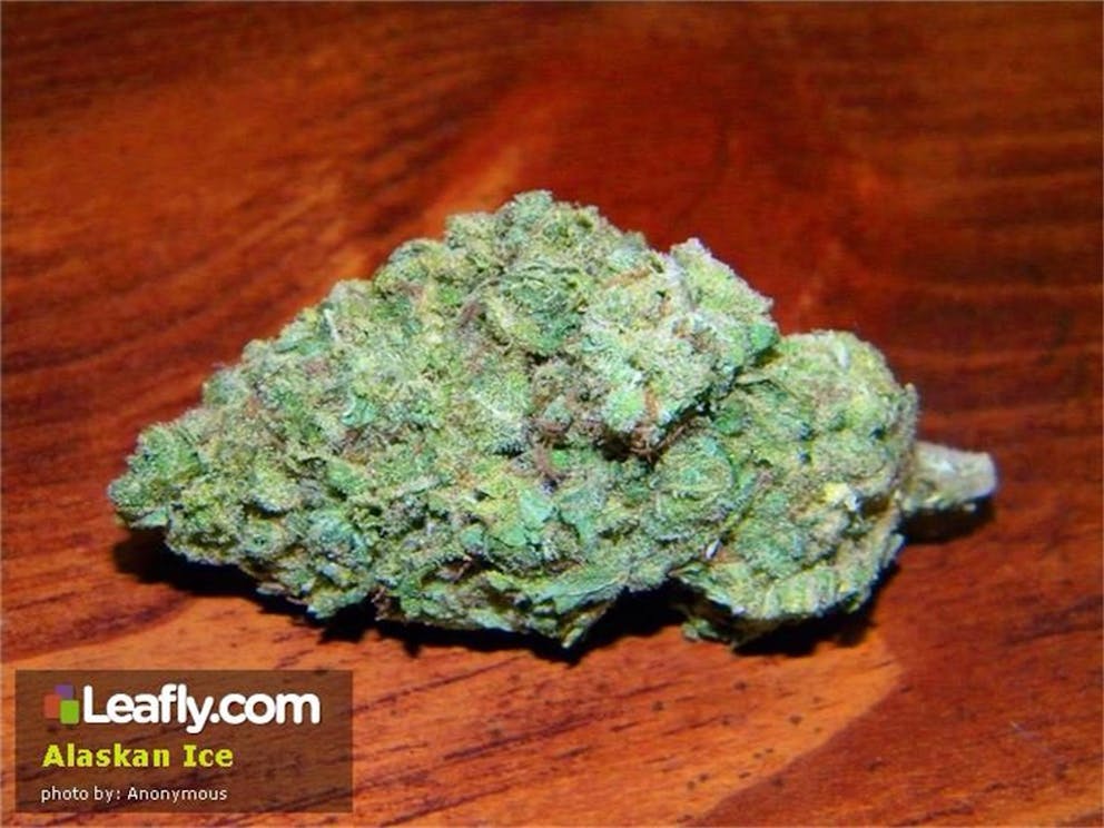 Photos Of Purple Passion Weed Strain Buds Leafly