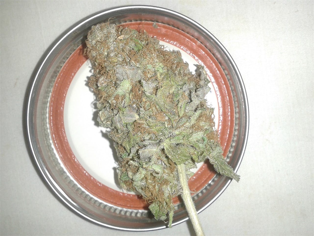 Photos Of Purple Passion Weed Strain Buds Leafly