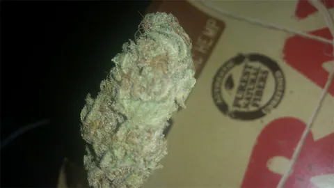 Purple Princess Weed Strain Information | Leafly