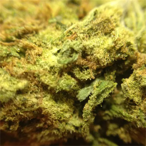 Purple Princess Weed Strain Information | Leafly