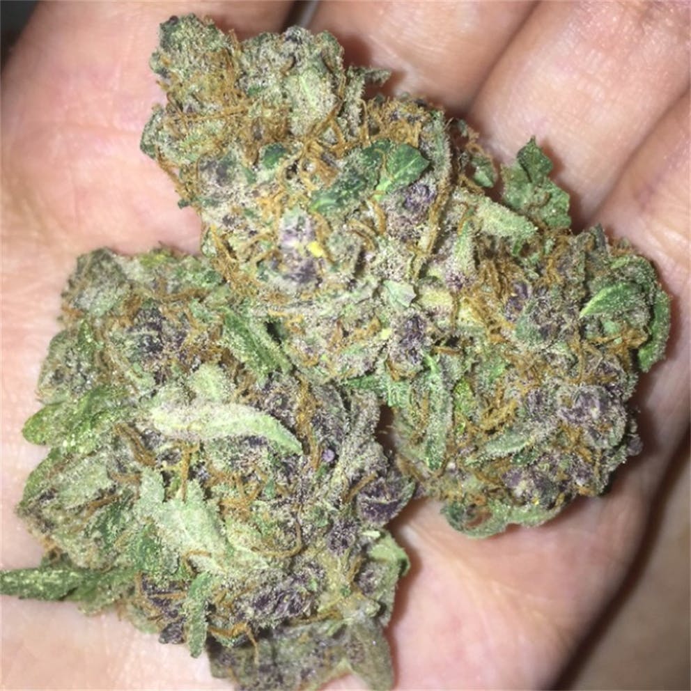 Photos of Purple Sour Diesel Weed Strain Buds | Leafly