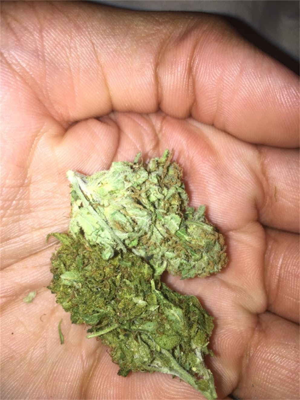 Photos of Purple Star Weed Strain Buds | Leafly