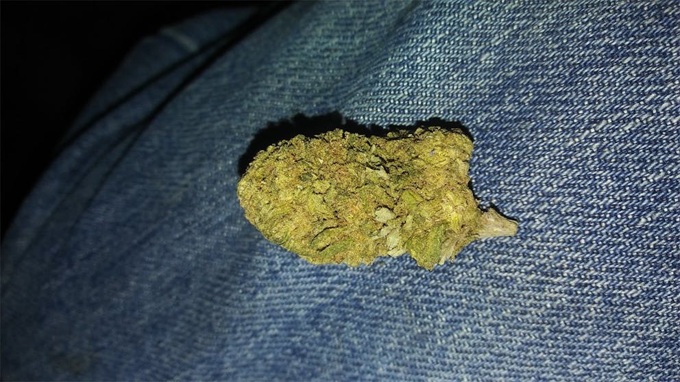 Photos of Purple Trainwreck Weed Strain Buds | Leafly