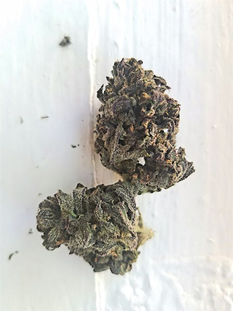 Purple Trainwreck aka Granddaddy Trainwreck, Granddaddy Wreck, Purple ...