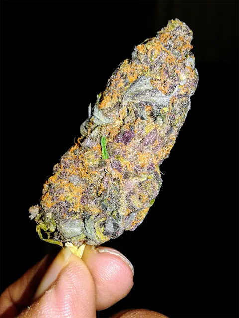 Purple Urkle Weed Strain Information | Leafly